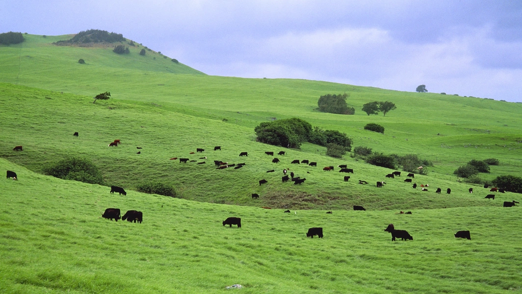 14 historic ranches shaping America’s heritage