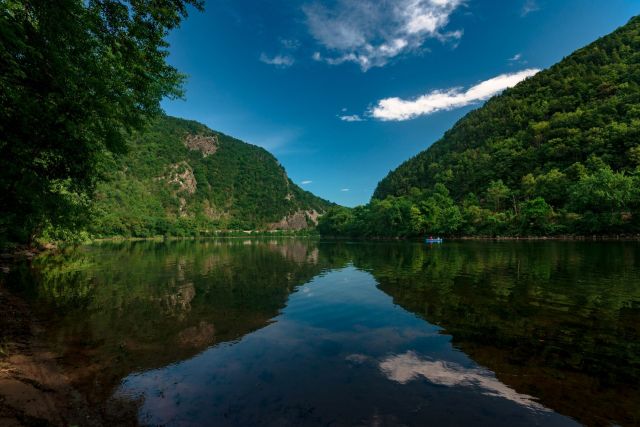 PFAS in Delaware River fish are rising faster than the water can dilute ...