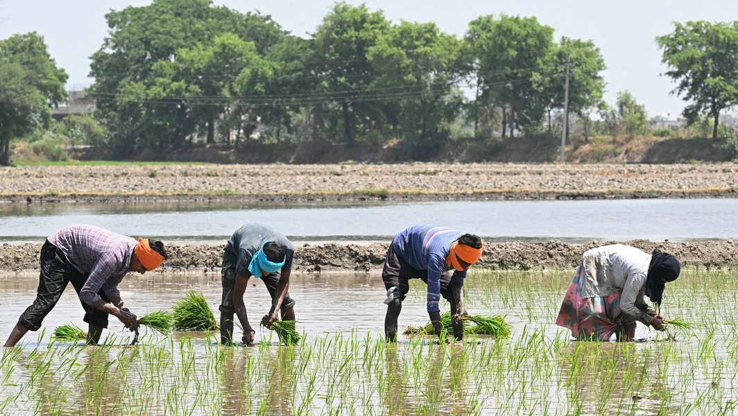 India marks record farm exports as food self-sufficiency grows