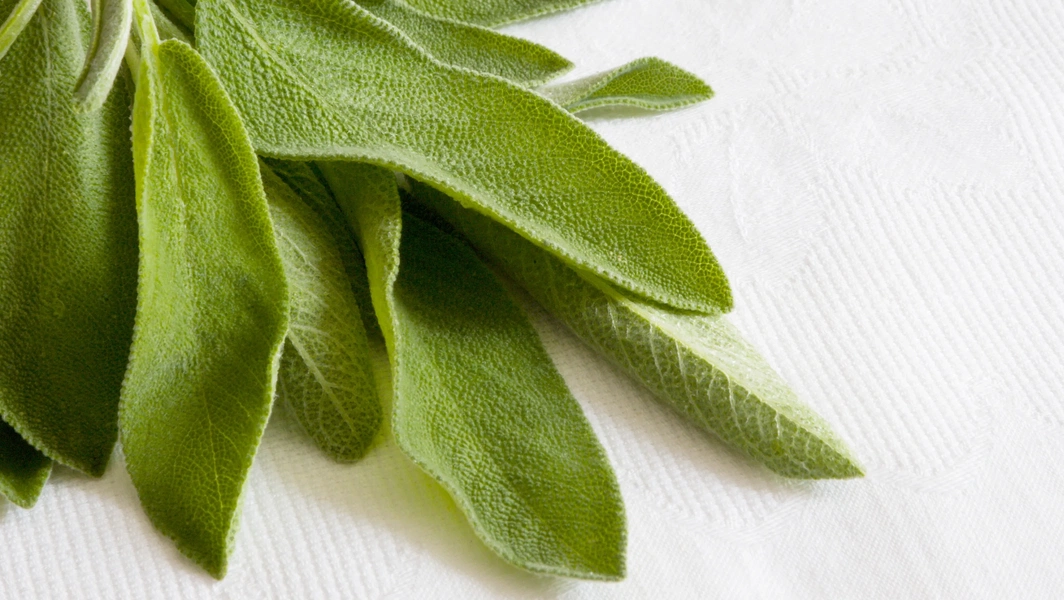 10 magical herbs in American witchcraft