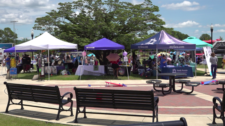 ALCD Kids Fest connects community with family resources