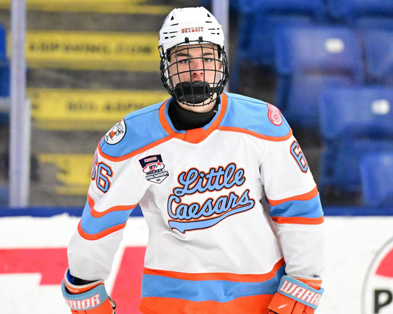Livonia's Max Lappan is first local hockey player taken in OHL draft