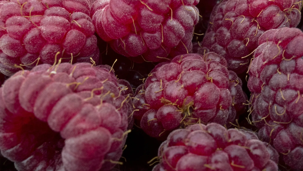 Raspberries: Nutrition, benefits, and potential risks