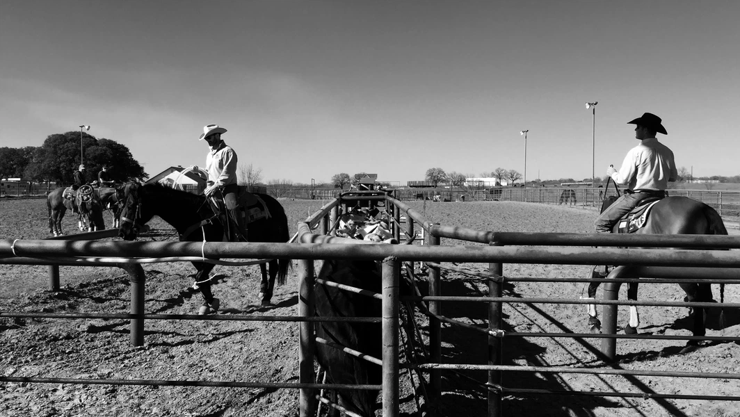 13 remarkable Texas ranches and wildlife destinations