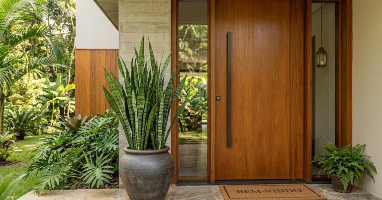 Onde colocar uma planta de espada-de-são-jorge para proteção da casa
