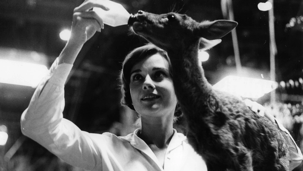 4 fascinating hobbies of historical and modern icons