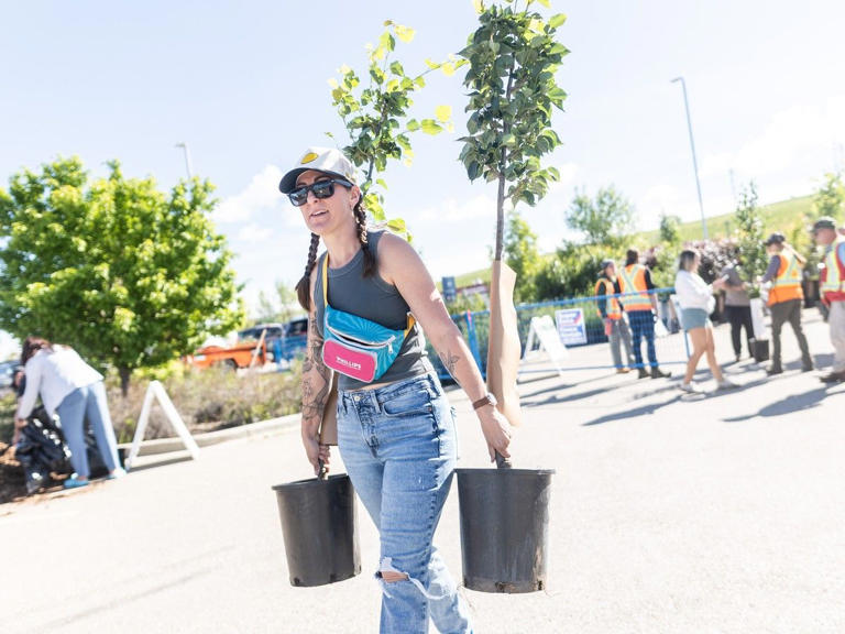 Tree giveaway aims to green up Calgary's canopy