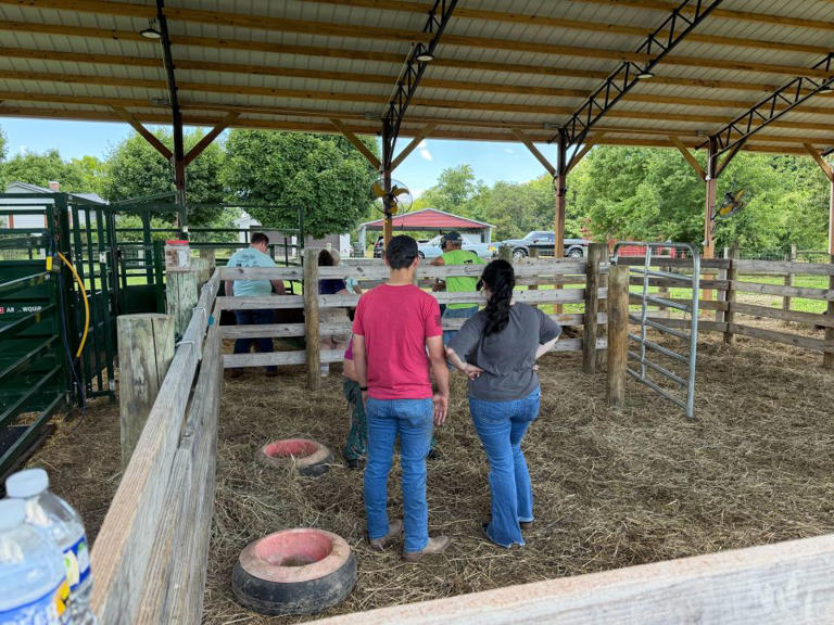 ARC&D hosts 7th annual regional farm tour across Washington and Greene ...