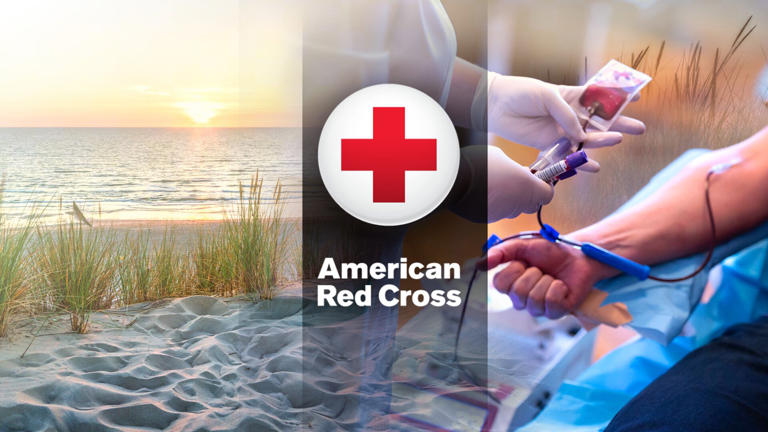 Red Cross urges donations amid busy summer season