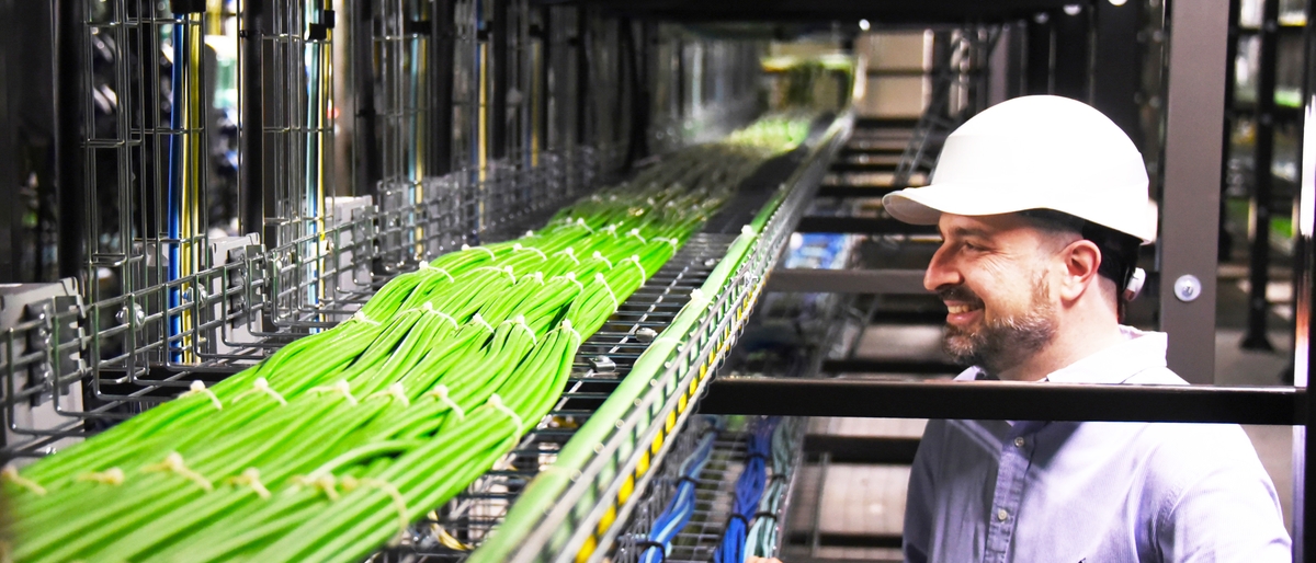 Viaggio nel campus Aruba, il data center più grande d’Italia: il cuore ...