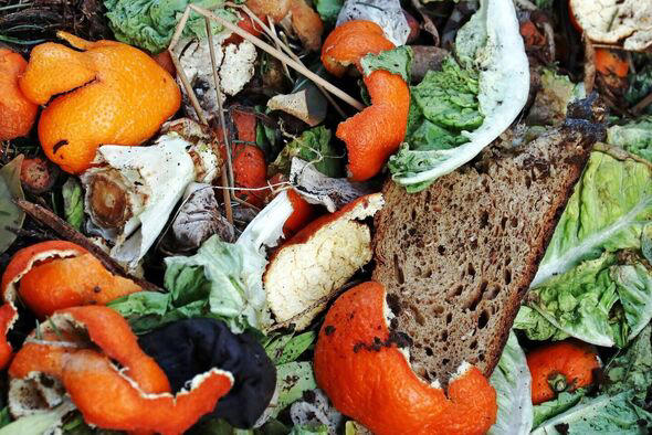 Cats 'won't go near' gardens or dig up plants if you scatter 19p item ...