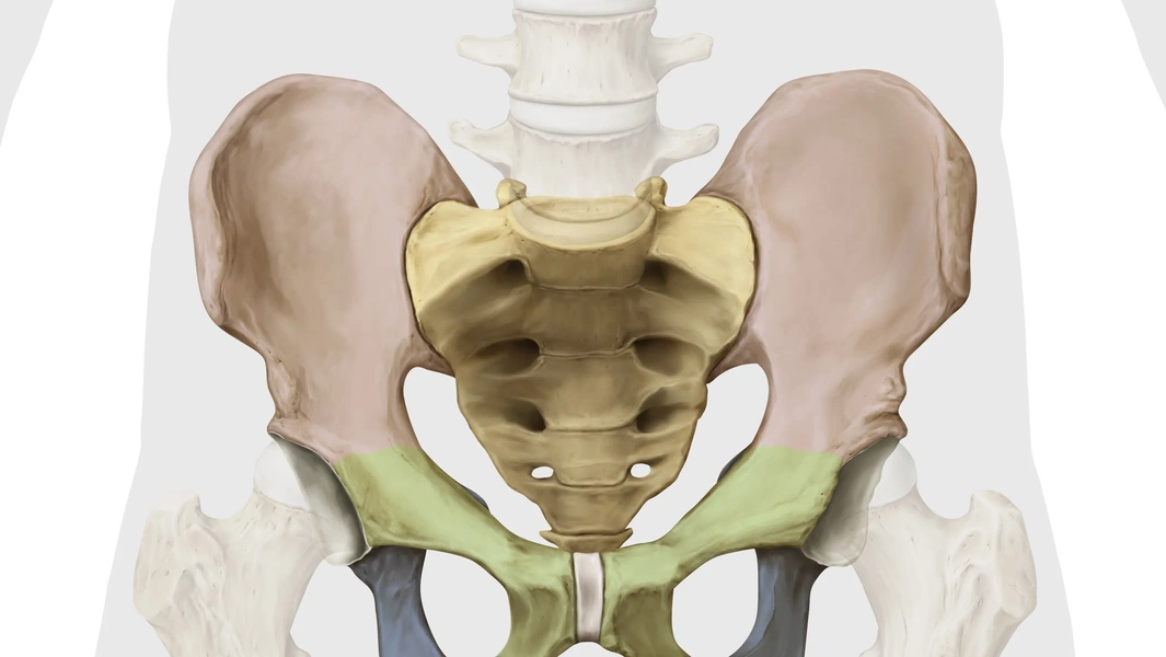 Improve hip mobility for comfortable cross-legged sitting
