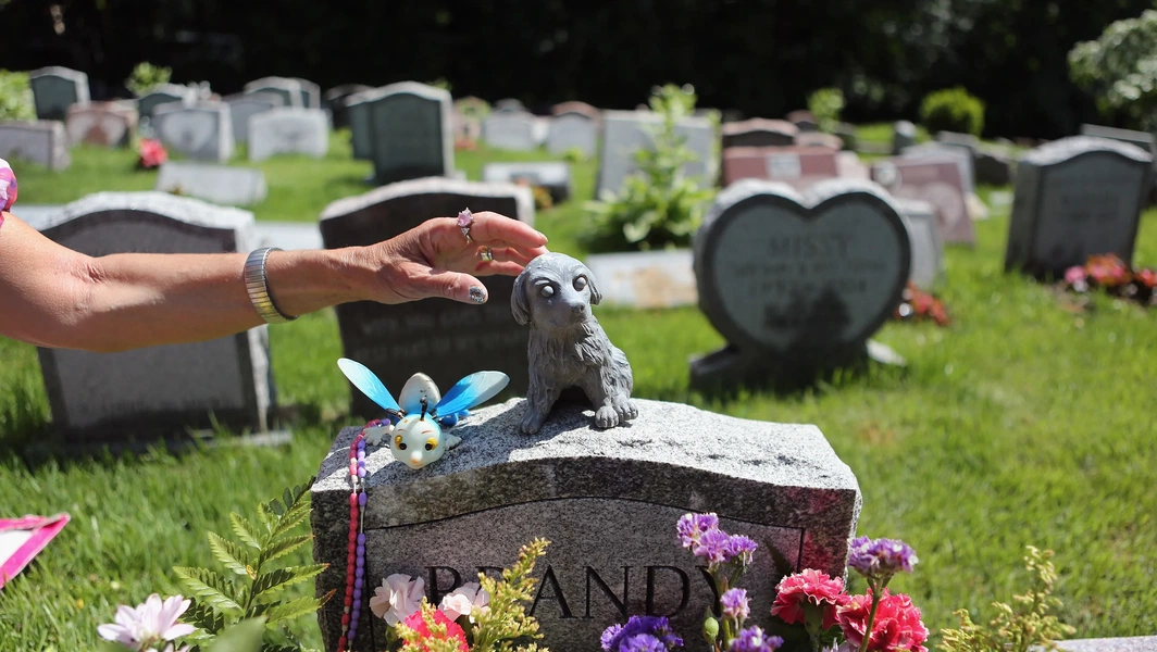 Coping strategies for the loss of a beloved pet