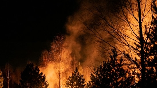 Pine Tree Fire update: Wildfire grows after military jet crashes near ...