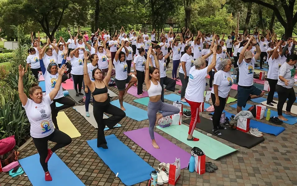 Find your flow with foundational yoga poses