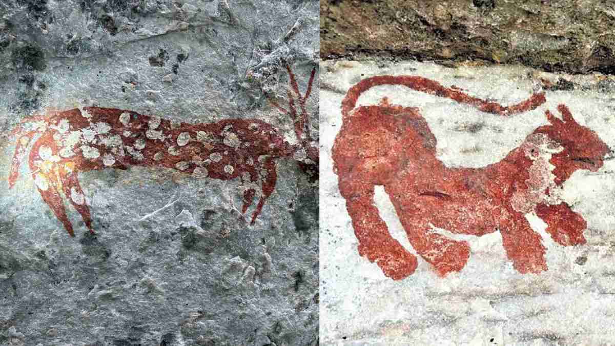 ASI discovers 25 ancient inscriptions in Nallamala Tiger Reserve: Check ...