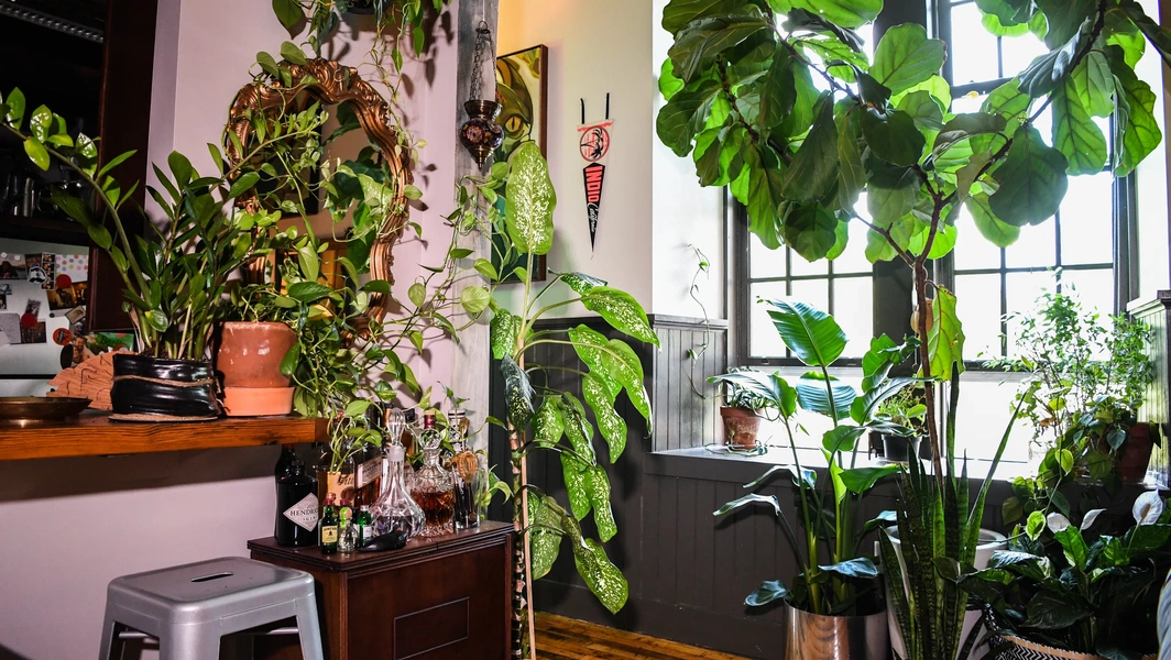 17 nature-inspired ideas for easy home décor