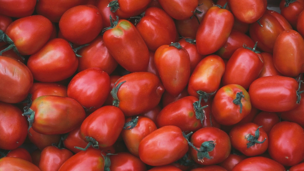 Mastering authentic Italian tomato sauce
