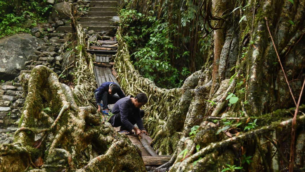 7 bridges built from unconventional materials