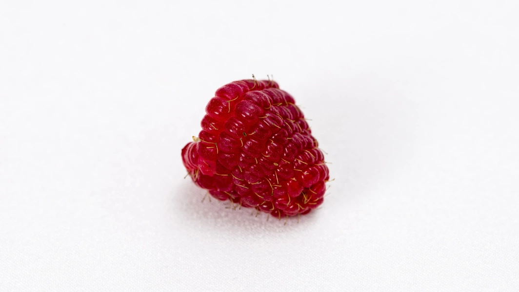 Raspberries: Nutrition, benefits, and potential risks