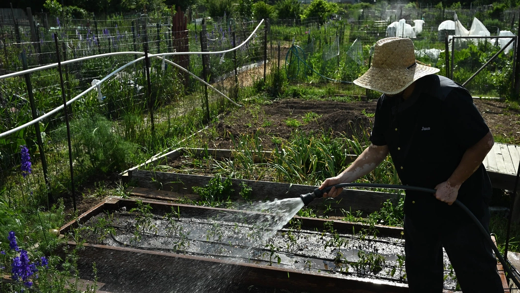 Optimal garden watering practices