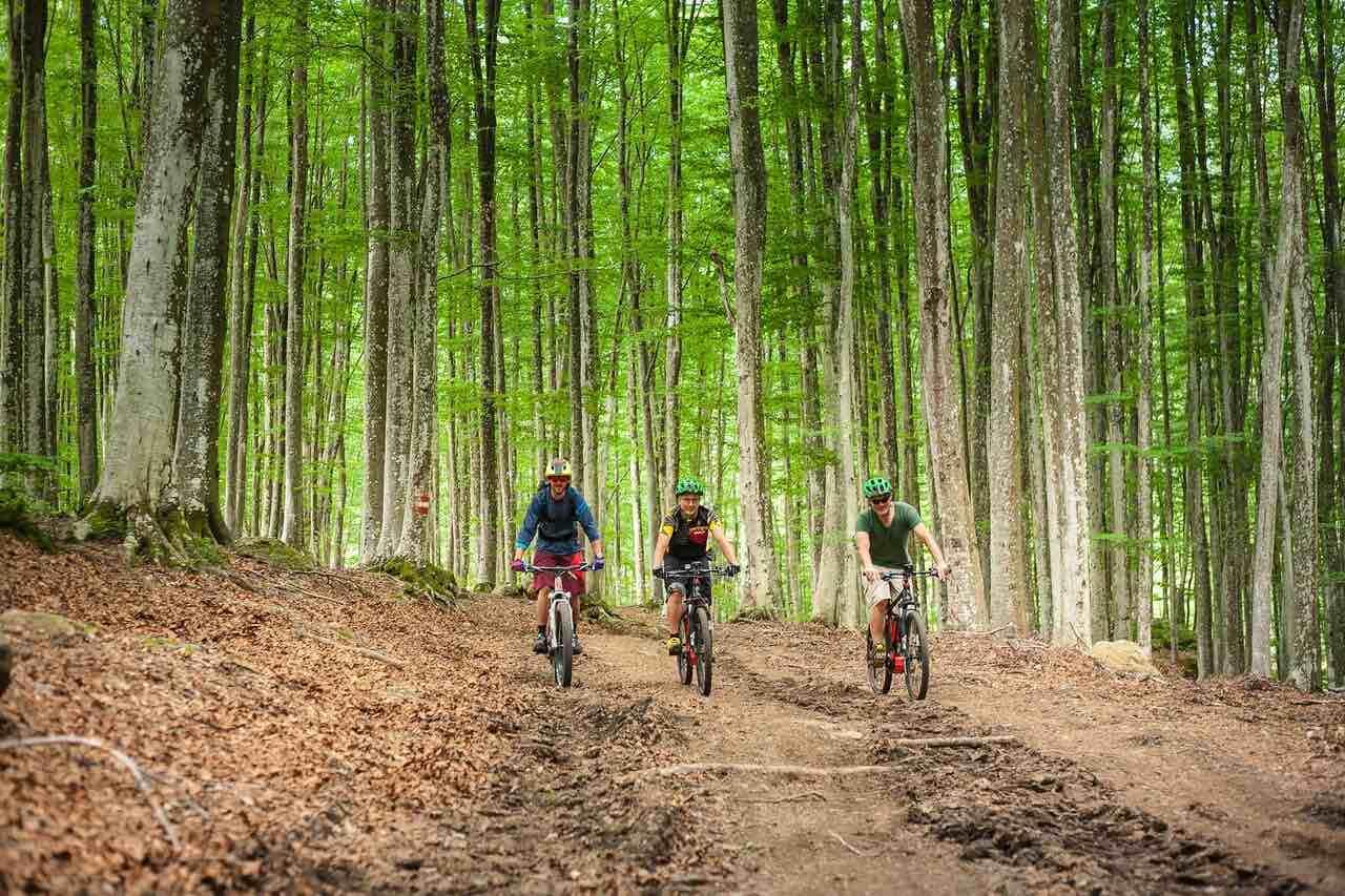Ciclismo. Mountain bike, ci siamo. Torna la Gran Fondo