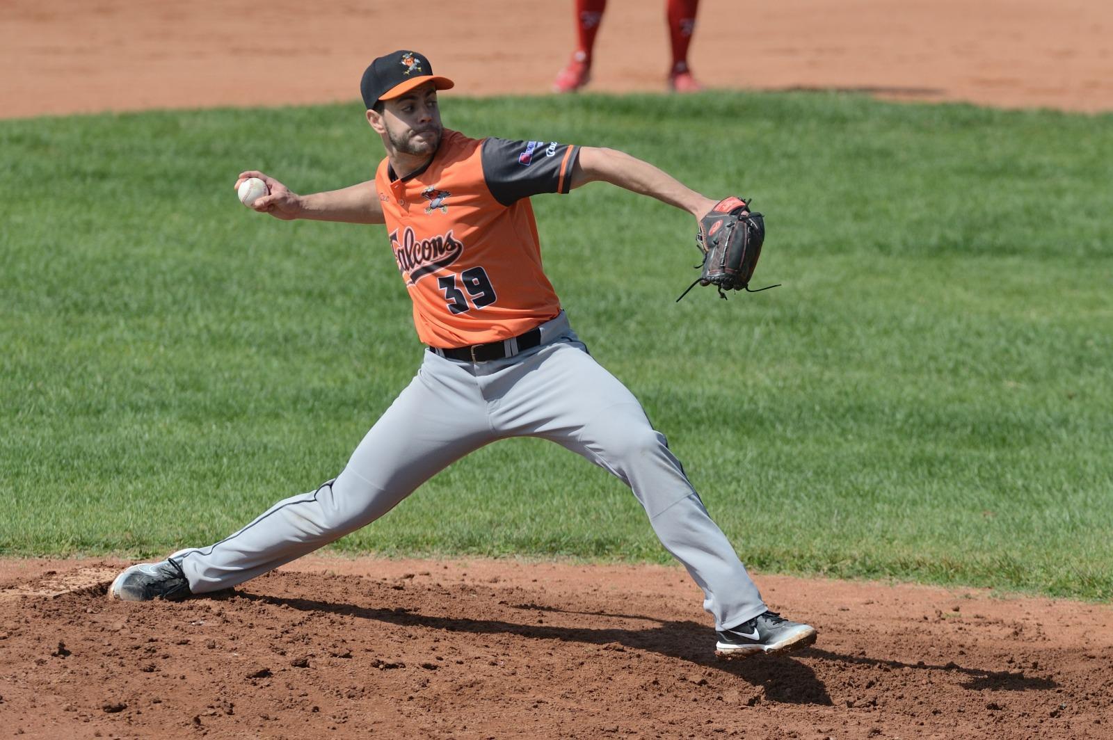 Baseball. Falcons rapaci contro il Godo. Ora tocca alla Sambonifacese