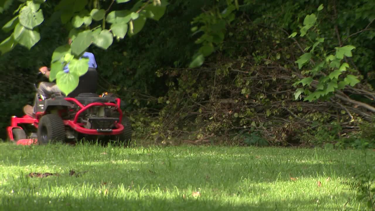Data center debate continues: Neighbors near Nashville zoo voice ...