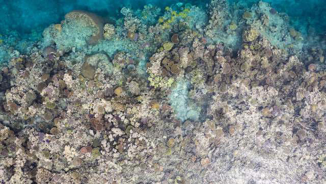 UN warns of a 'deepening crisis' in oceans as warming, overfishing, and ...