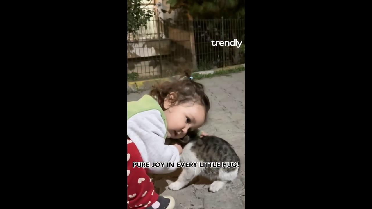 Heartwarming connection: Toddler embraces a stray cat with love