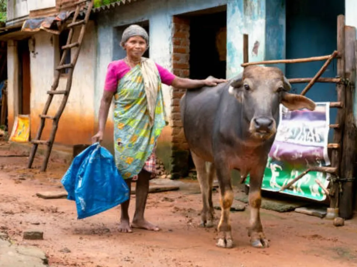 From homemaker to dairy queen: All about Daryaben, this Gujarat woman ...