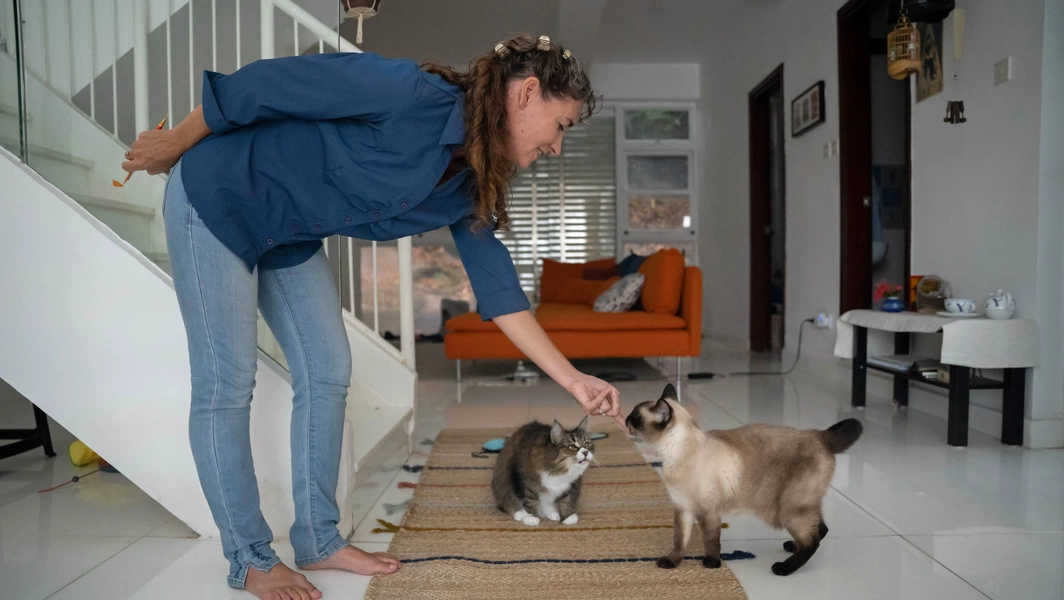 How cats choose and show affection