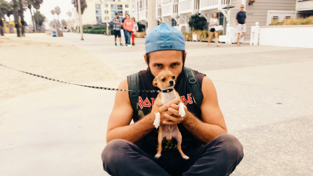13 small dog breeds perfect for compact living