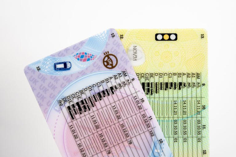 Log book and licence mistake opening drivers to dangerous scams