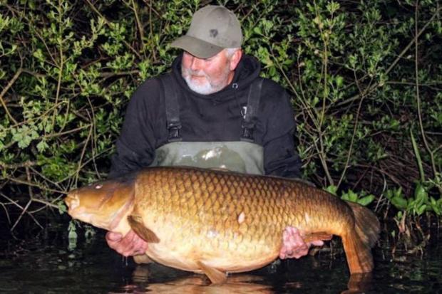 Angler lands UK's heaviest rod-caught carp in Chesham lake