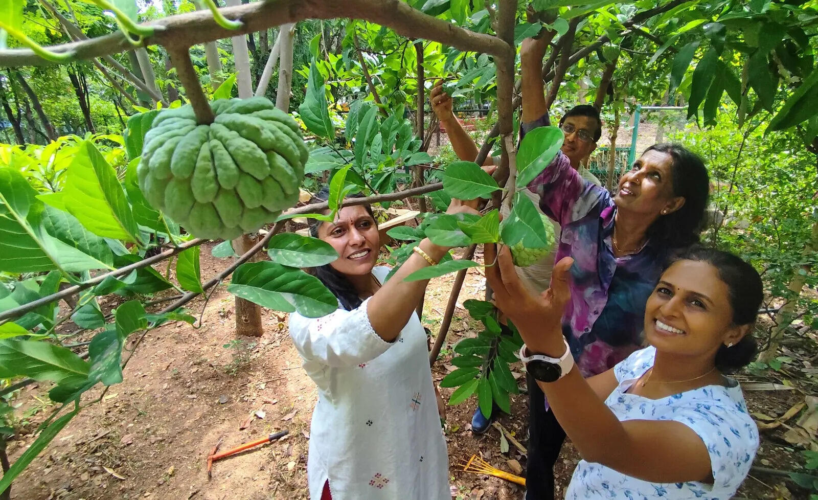 Bengaluru communities are going bananas over farming