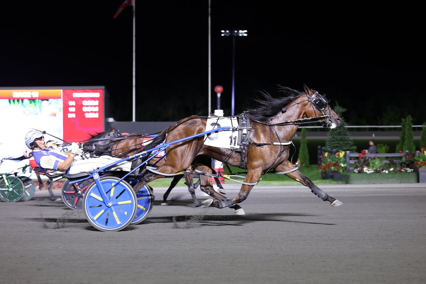 MacDonald drives Odds On Mr Mamba to win in $1-million North America Cup