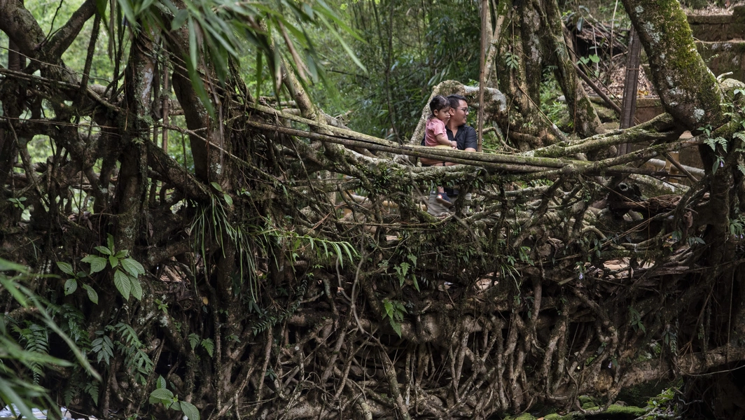 7 bridges built from unconventional materials