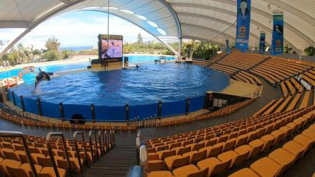 Las orcas Wikie y Keijo, en un 'limbo' entre la prohición francesa y el ...