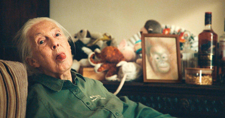 Wie Jane Goodall bis zu ihrem Tod für den Planeten kämpfte