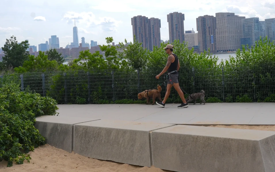 Experts outline summer safety tips for dogs amid heat risks
