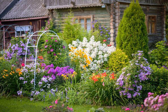 Gardeners urged to put sticks in the garden in June