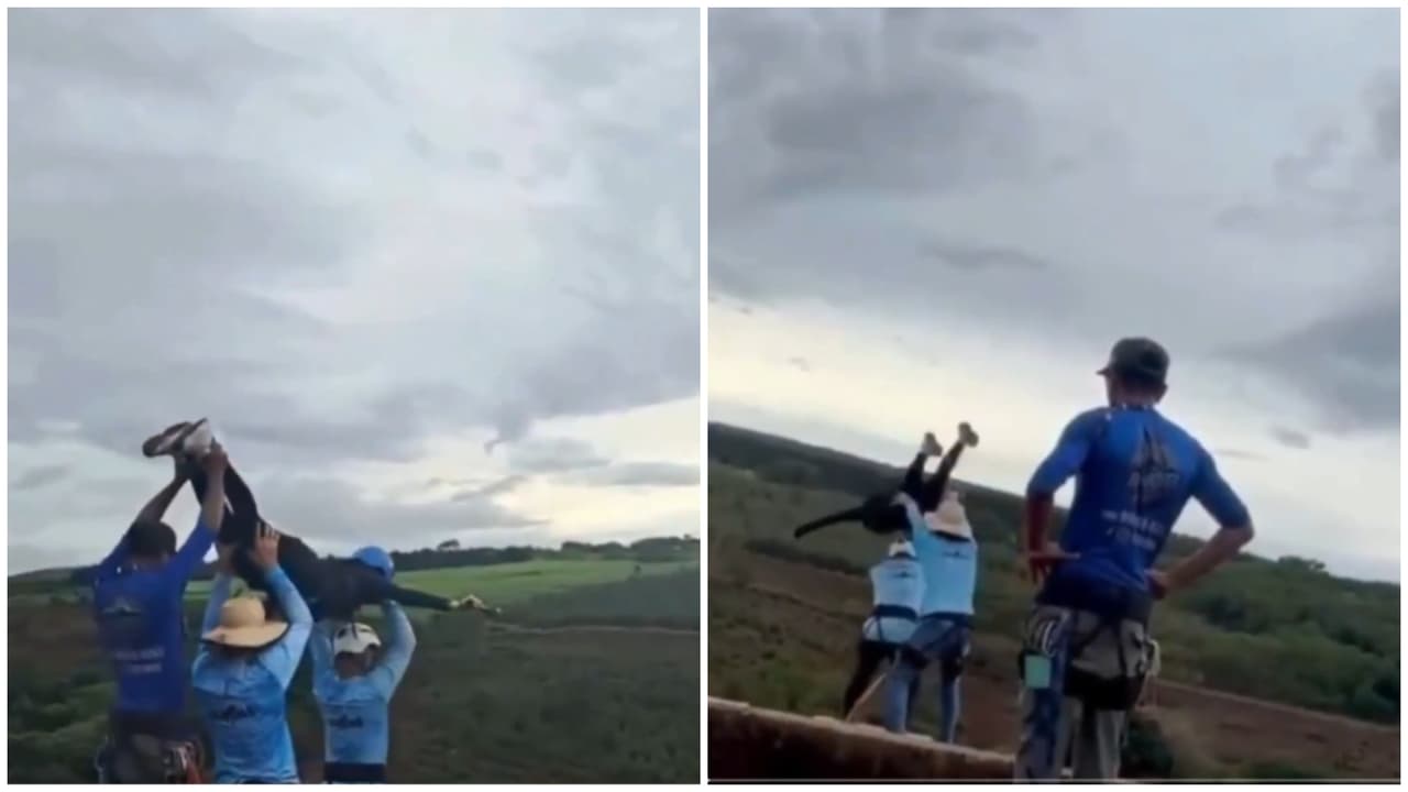'Guys, the rope!': Brazil woman dies during bungee jump as organisers ...