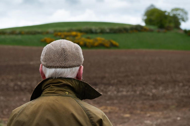 Farmer reported to RSPCA for moving own sheep between fields
