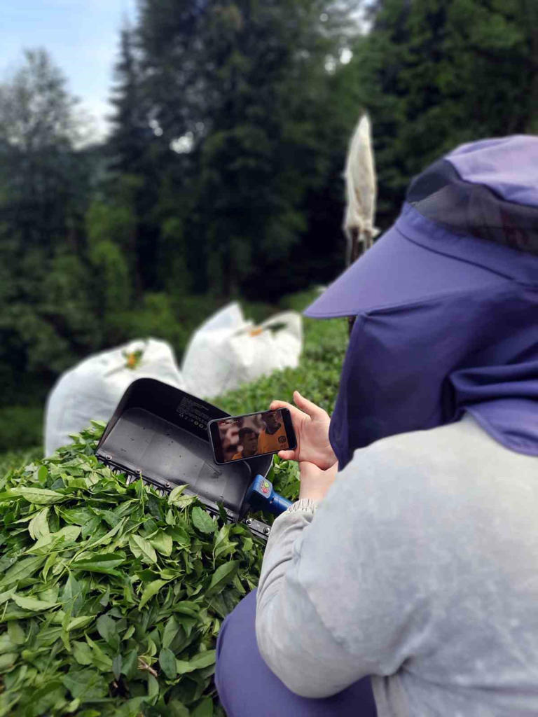 Rize’de çay bahçesinde milli maç heyecanı