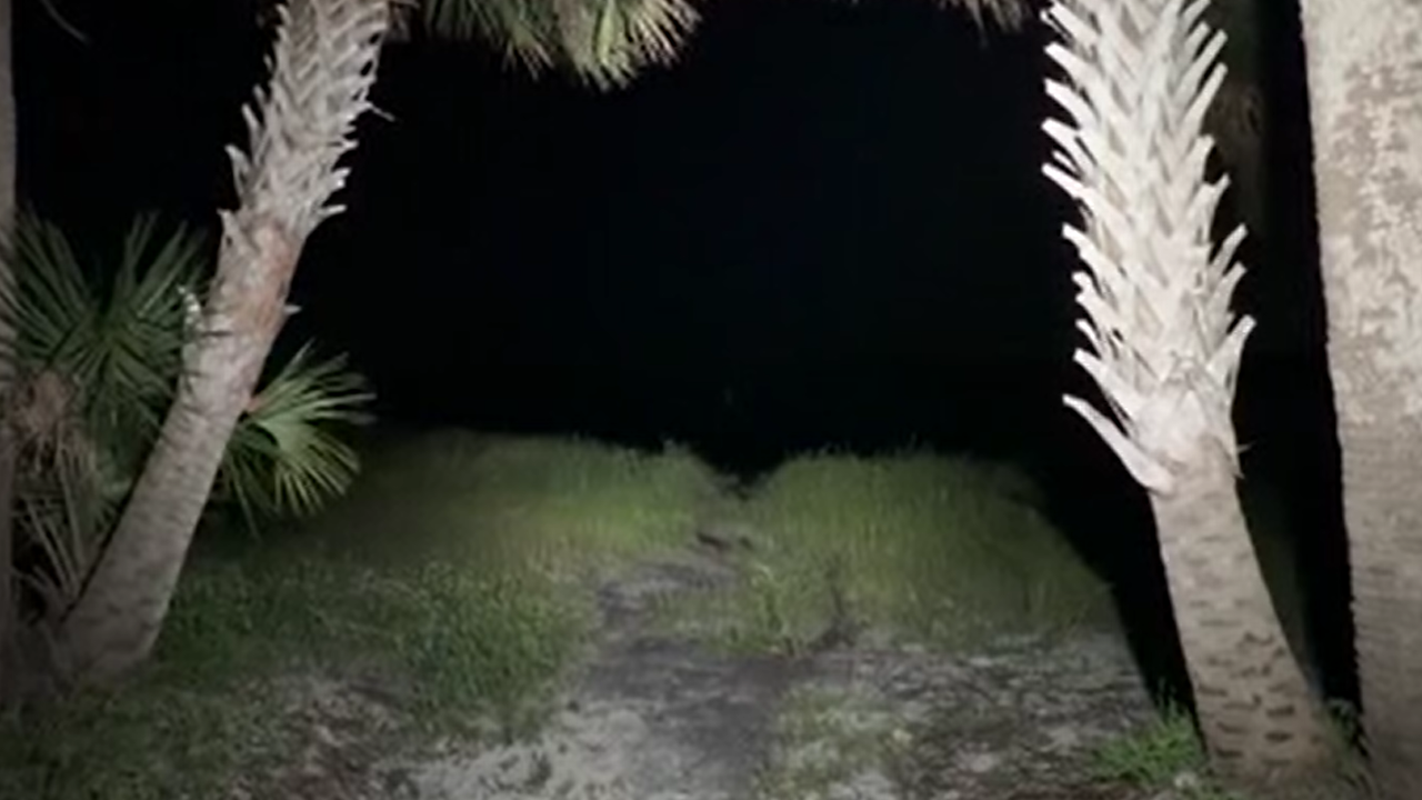 Man killed in airboat crash on Loughman Lake in Brevard County, FWC says