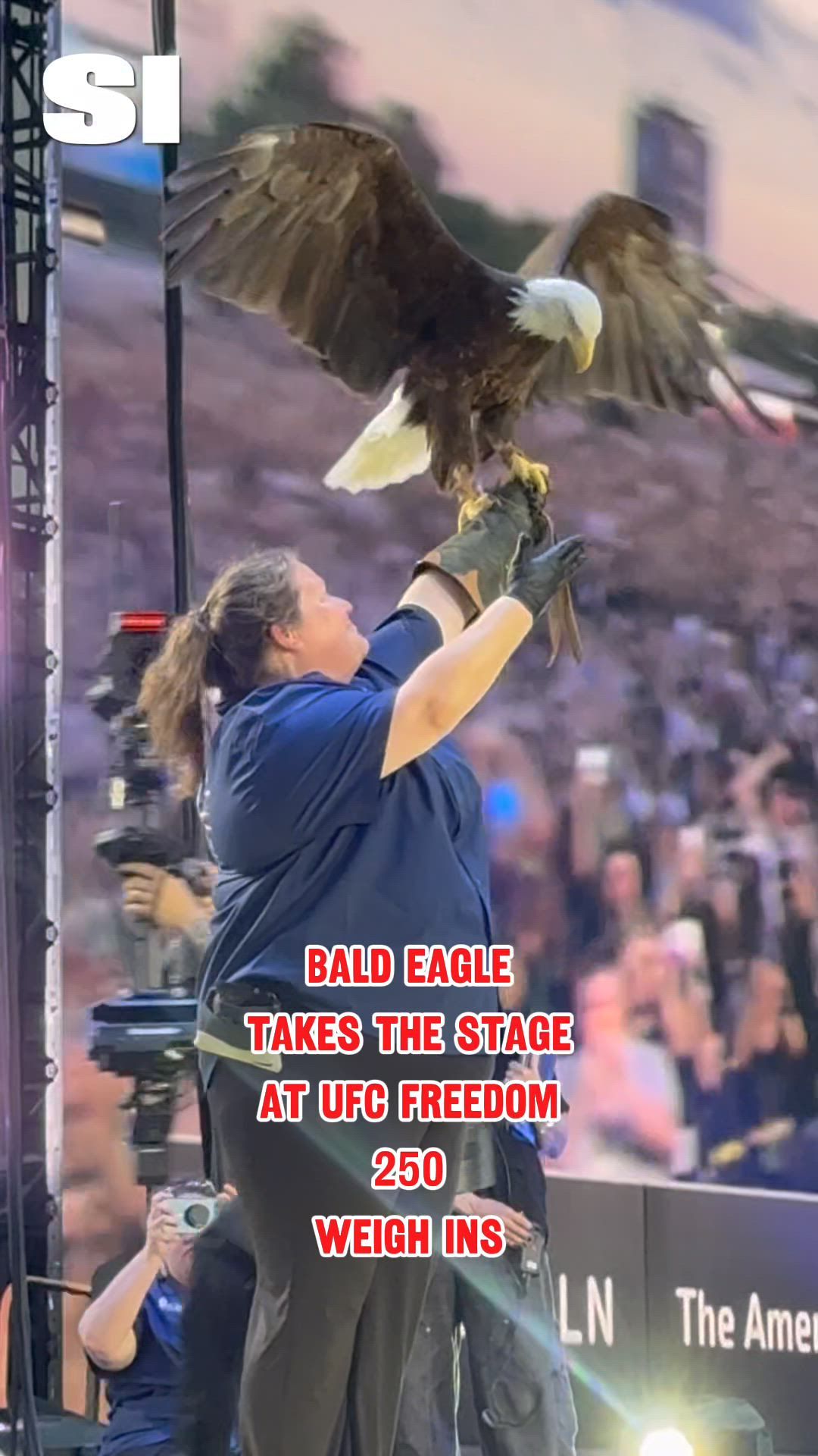 Bald eagle steals the show at UFC Freedom 250 weigh-ins 🦅