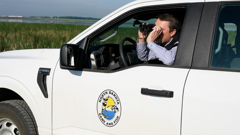 ND outdoors: Breeding duck survey