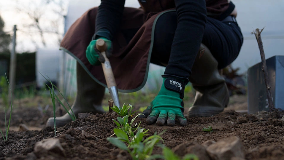 15 hobbies that strengthen cognitive skills