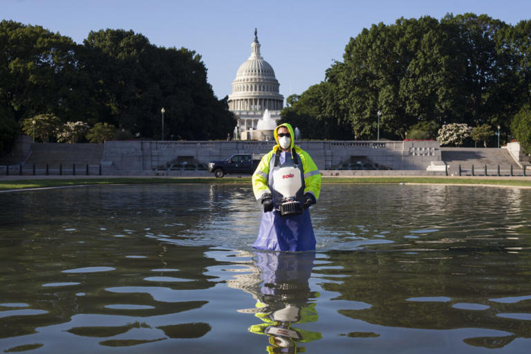 Trump’s $14M reflecting pool project couldn’t stop algae from blooming ...